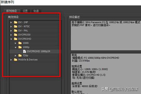 PR新建项目如何设置dv和hdv？-3D溜溜网
