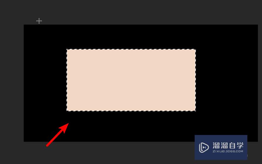 PS2019怎么将选区填充颜色？